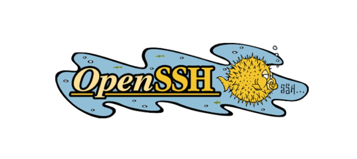 OpenSSH en riesgo: nuevas vulnerabilidades exponen ataques MITM y DoS - Devel Group